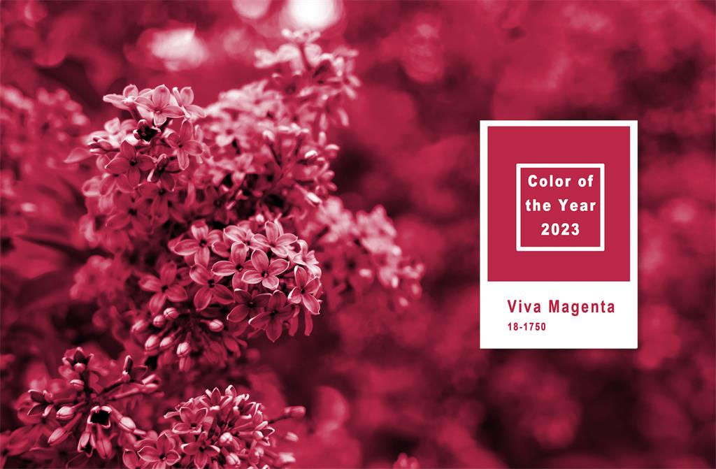 Viva Magenta - Pantone boja za 2023. godinu - Meblo.hr